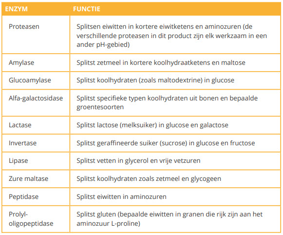 Enzymenformule Pro 90 capsules - enzymen voor koolhydraten, eiwitten ...